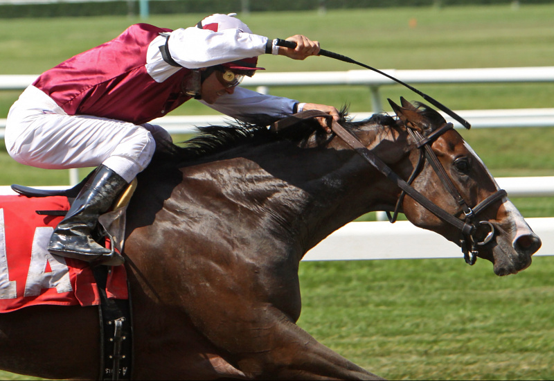 La cravache - Magali Mathé